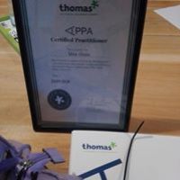 PPA - Thomas International - Digital Self Assessment Disc theory